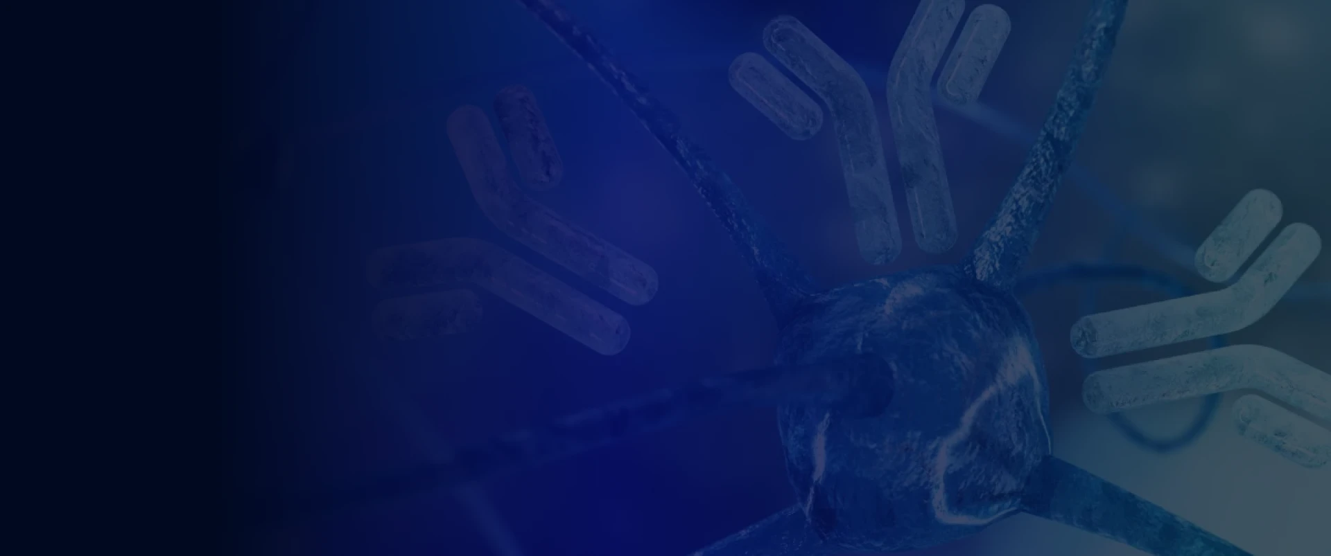 ADA Assay, Neutralizing Antibody Assay, Immunogenicity Assay ...