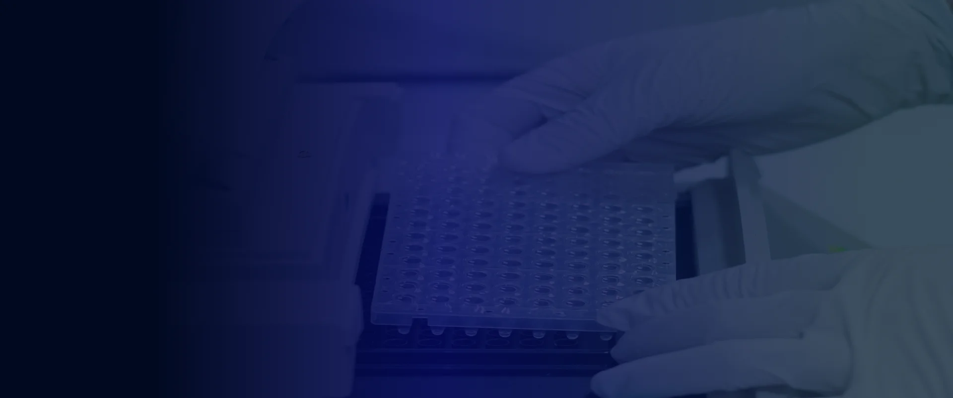 QPCR Service, DDPCR Service, Digital PCR Service | NorthEast BioLab