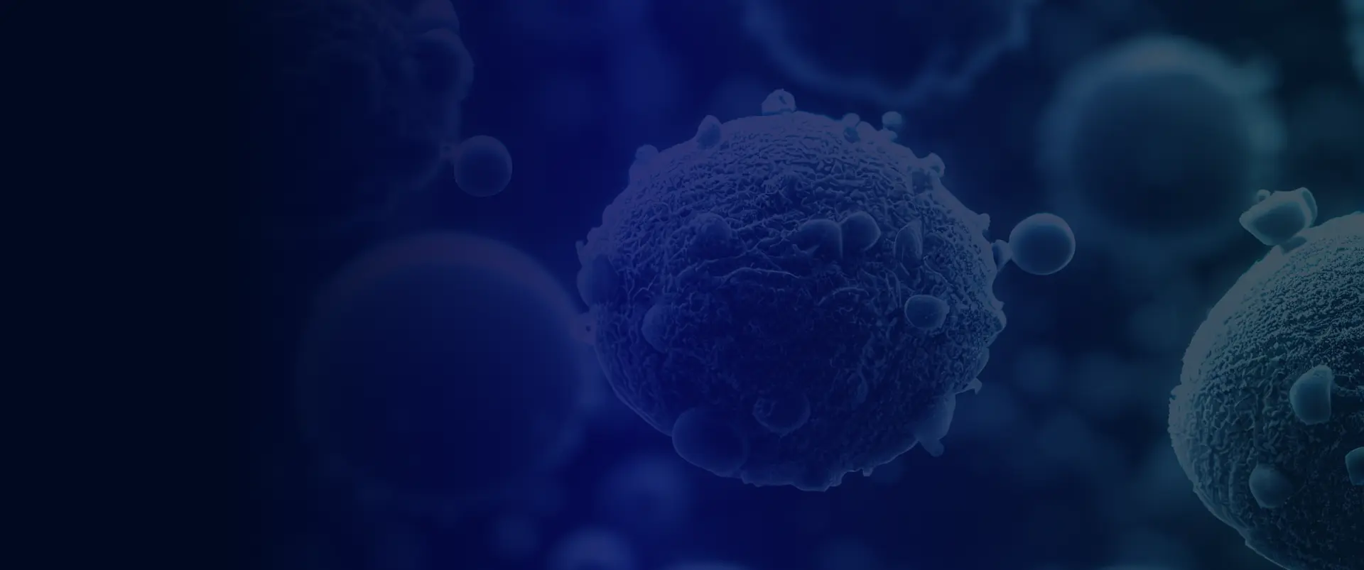 Immunogenicity Assay Development, Immunogenicity Testing Services