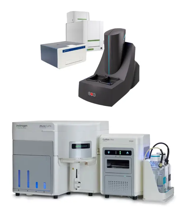 Cell Based Assay, Cell Proliferation Assay, Cell Viability Assay ...