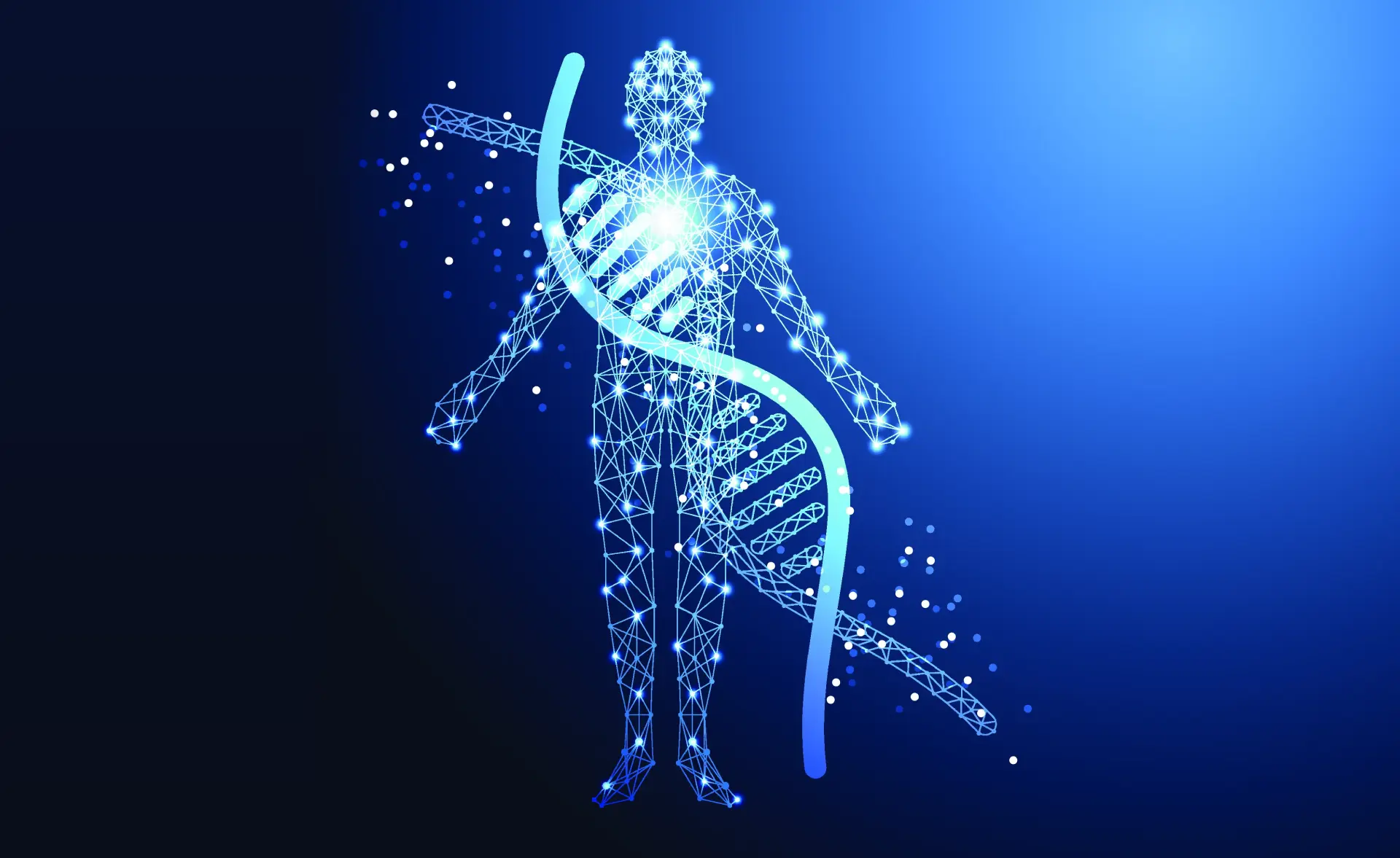 Pharmacokinetics Study Service, PK Assay Lab, PK Sample Analysis