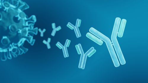 ELISA Assay Validation: Best Practices, Methods, and Key Insights