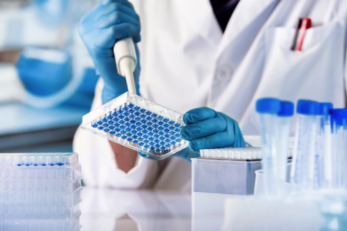 ELISA Assay Validation: Best Practices, Methods, and Key Insights